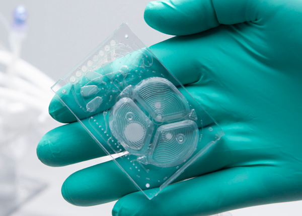 Actualités - System-c bioprocess